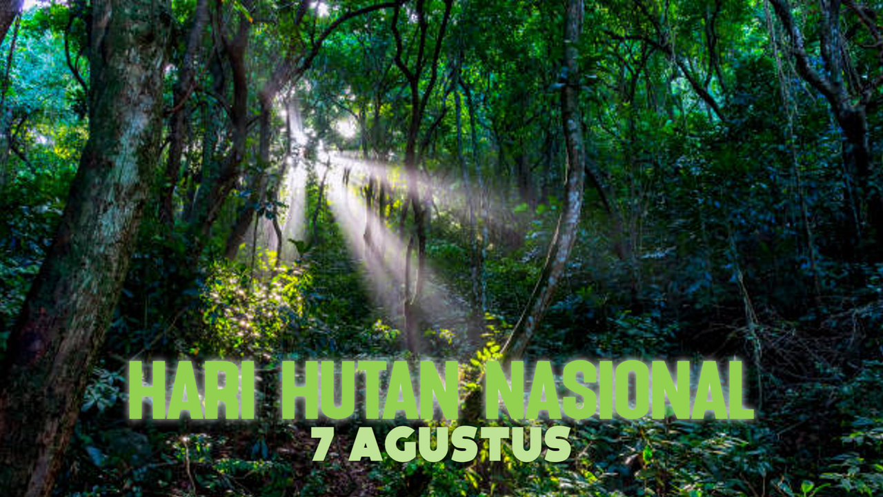 Hari Hutan Indonesia 7 Agustus: Makna, Sejarah dan Tema 2025 – Malawapati