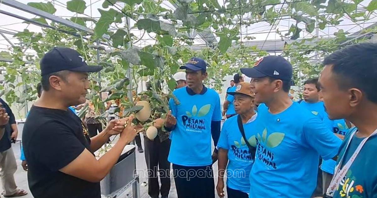 Jagongan Petani Milenial Tempat Bertukar Solusi Pertanian Digital ...